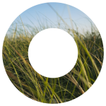 News - Scotland Beyond Net Zero