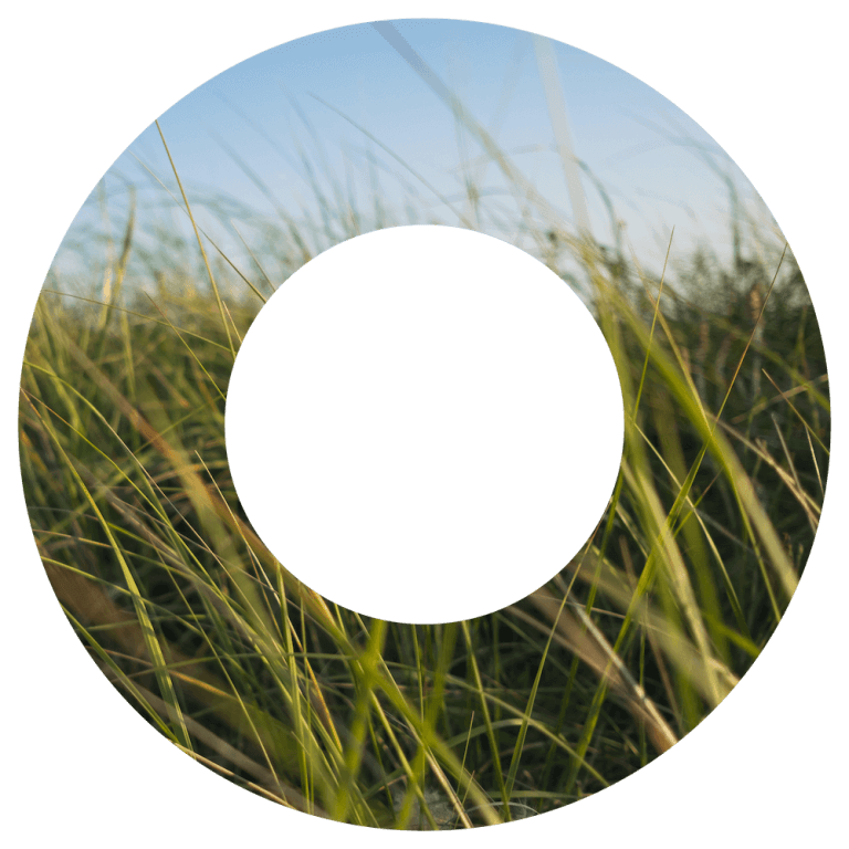 News - Scotland Beyond Net Zero